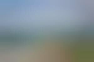 Open Air Photography : Barbara Anastacio