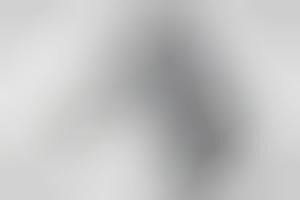 Burly Burnished Beaters : Dualit Chrome Hand Mixer