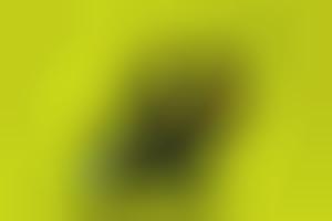 Swashbuckling Flash Drives : Pirate USB Flash Drive