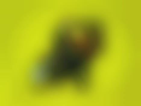 Swashbuckling Flash Drives : Pirate USB Flash Drive