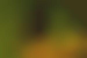 Singing Squirrel Commercials : Kit Kat Squirrels