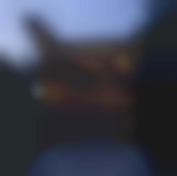 Fragmented Compact Homes : Fractured Residence