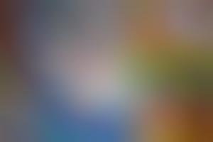 Political Game Boards : Terrorbull games