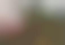 Ball-Shaped Eco Homes : The Airdrop House