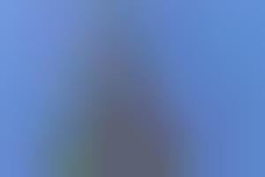 Mountain Bike Monuments : Cyclisk bike obelisk