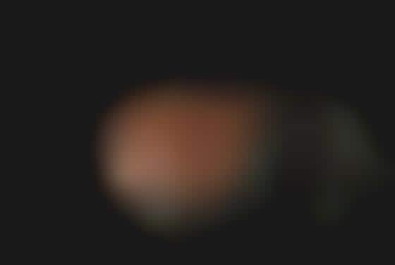 18 Food-Inspired Purses