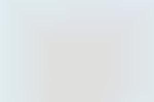 Adorable Animal Advertising : Chofitol Natural Digestive