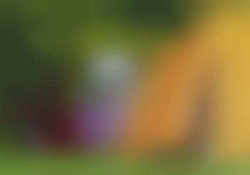 80 Whimsical Architectural Structures