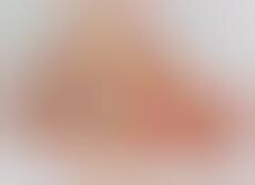 Cartoon Fish Anatomy : Finding Nemo Anatomy Sculpt