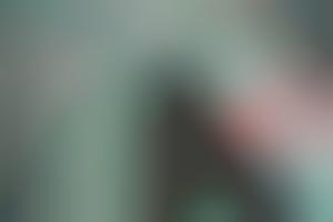 Alphabetic Dissections : Andreas Scheiger