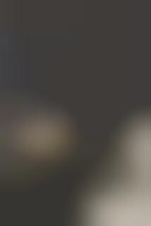 Stylish Insect Interiors : Beetle Wallpaper