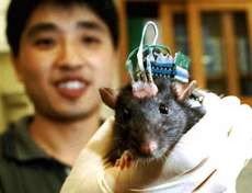 Live Rodent Batteries : Rat Blood Fuel Cell