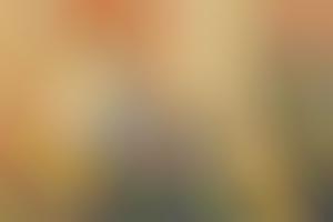 Intricately Abstract Art : peter diamond