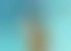 Handheld Sea Scooters : Bladefish 5000 Sea Jet