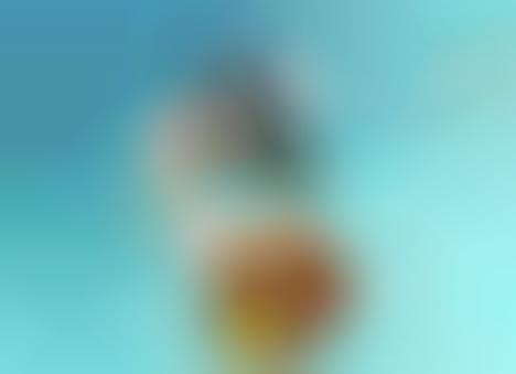 Handheld Sea Scooters : Bladefish 5000 Sea Jet