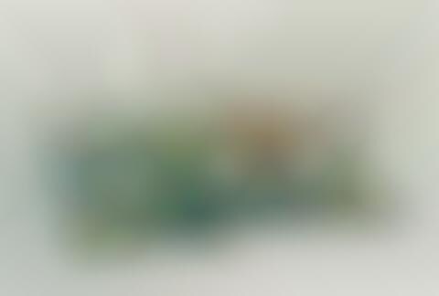 Rebellious Protest Photography : sam durrant