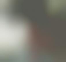 Disastrous Vacation Blogs : Hatecation photoblog