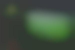 Neon Evacuation Escorts : led escape light