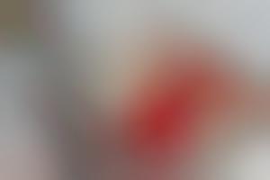Gruesome DIY Goodies : blood slide candy
