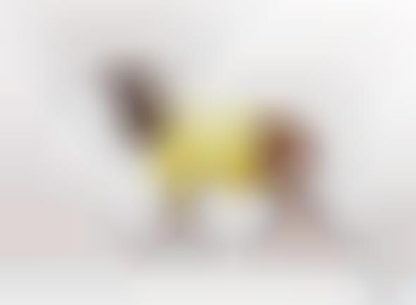 60 Awesome Animal Ads