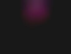 Amazing Animal Paint Splatters : Boysen Paint Ads