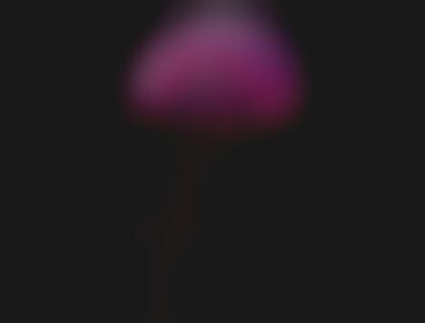 Amazing Animal Paint Splatters : Boysen Paint Ads