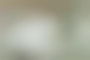 Table-Lamp Hybrids : almerich alux light