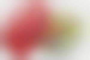 Eco-Friendly Poultry Packaging : KFC Reusable Side Container