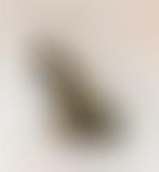 Taxidermy Lighting: Alex Randall Lamps Reuse Beastly Flesh