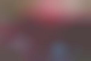 Ultimate Tailgate Trailer: Gameday Customs