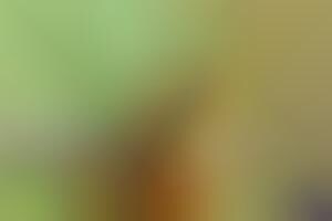 French Delicacy Nears Extinction: The Ortolan