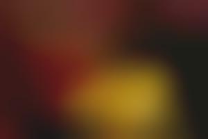 $24,000 Sneakers: Pure Gold Sport Shoes