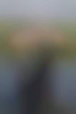 89 Innovative Boats & Yachts