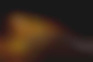 Dark-Lit Cartography : Bernd Kammerer