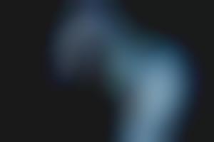 Interactive LED Art : Super Nature