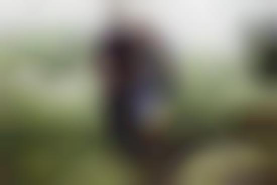 66 Hipsteriffic Pictorials