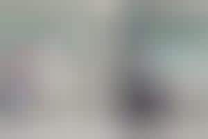 Dandelion LED Lighting : Fragile Future III