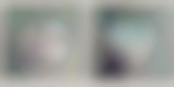 Dandelion LED Lighting : Fragile Future III