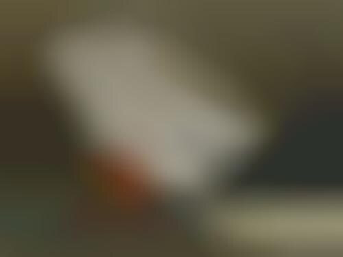 10 Innovative Interactive Storefronts