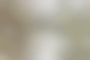 Exorbitantly Extravagant Toys : Nostalgia Yo-Yo