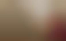 Dusky Damsel Photography : Candace Meyer