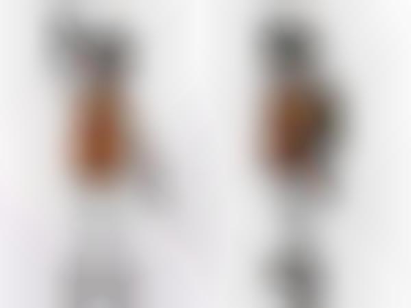 Real Robot Pals : Mike Rivamonte