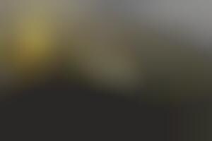 Eco Dune Buggies : Mario Pitsch Sandfly