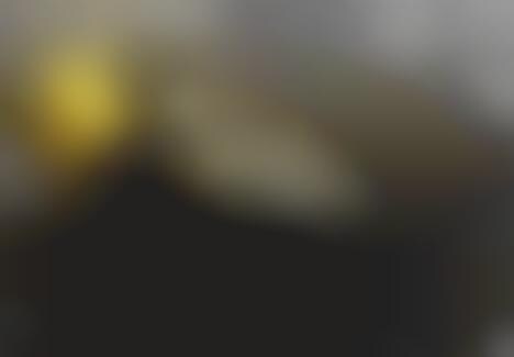 Eco Dune Buggies : Mario Pitsch Sandfly