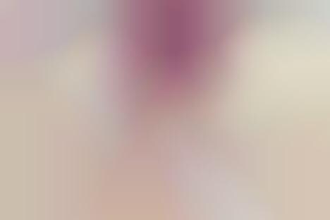 Fence-Straddling Photography : Giulia Agostini