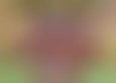 Life-Sized Pinball Machines : life-sized pinball machine