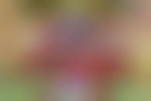 Life-Sized Pinball Machines : life-sized pinball machine