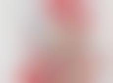 Stripped-Down Icons : Hello Kitty Anatomy Sculpture