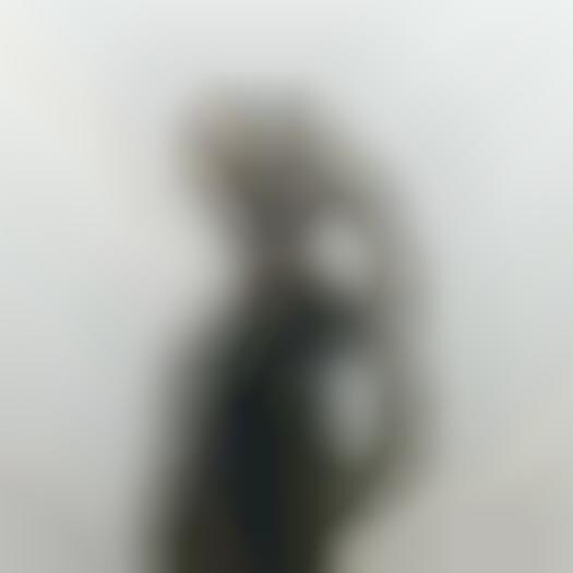 Digital Dichotomy Photography : Permanent Error