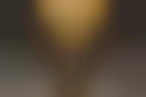 Sensual Lampshades : intimate lighting